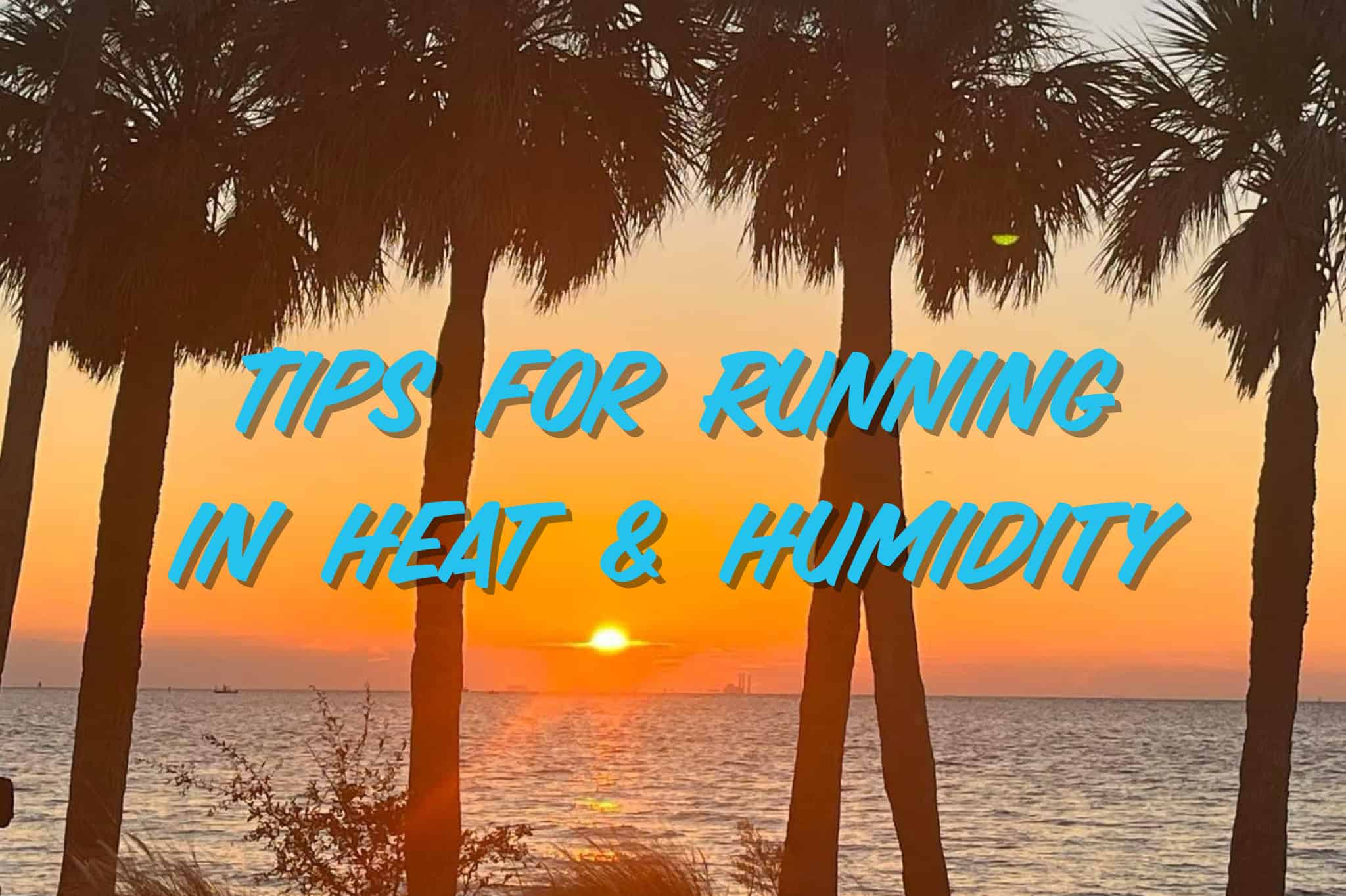Tips for Running in Heat and Humidity - St Pete Running Company